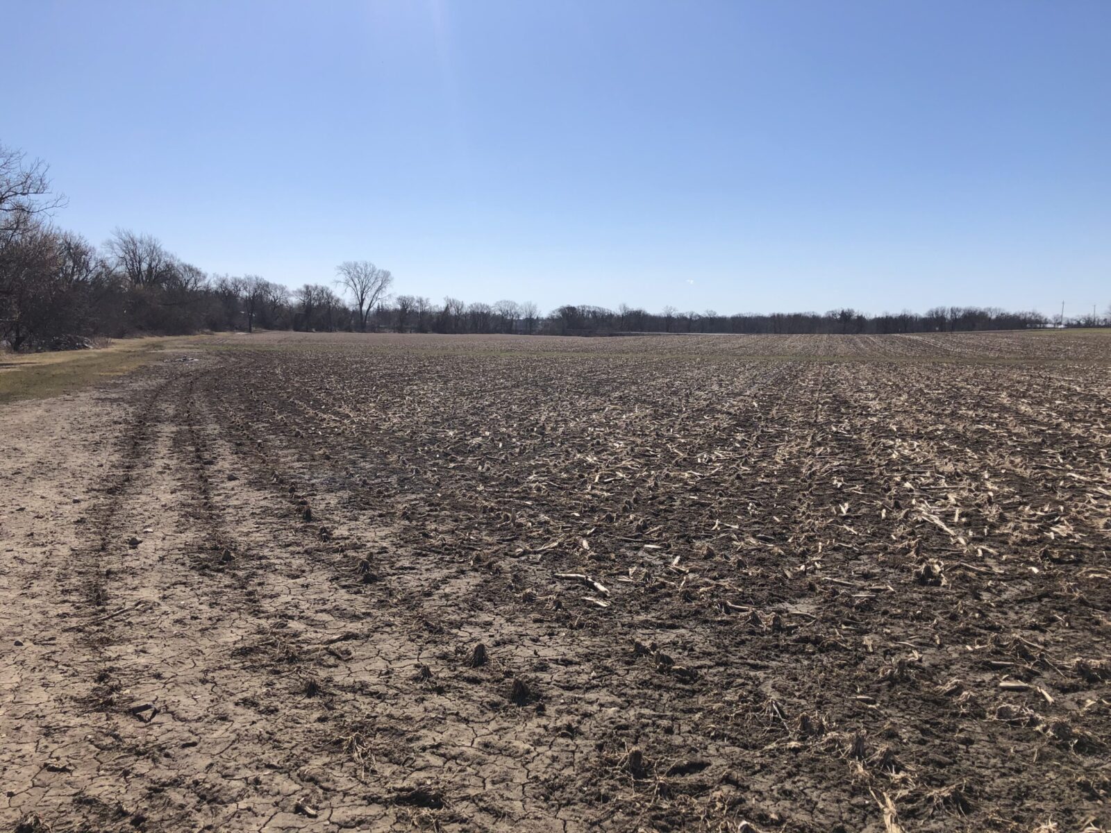 Production Practices – Snyder's Sweet Corn